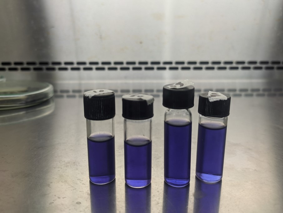 Shah MD Minhajul Abedin